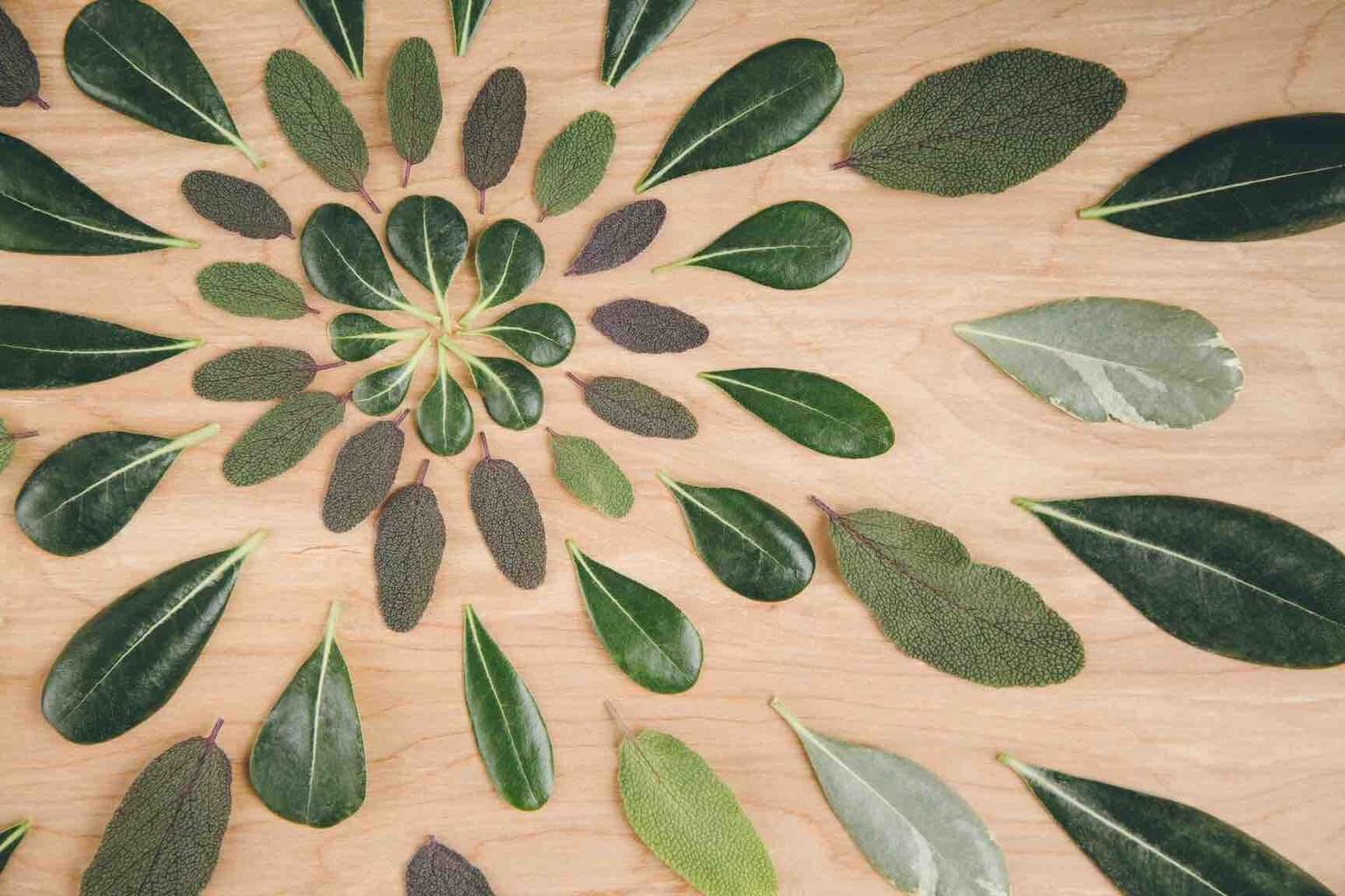 Conviértete en un Asesor de Ventas Call Center Exitoso